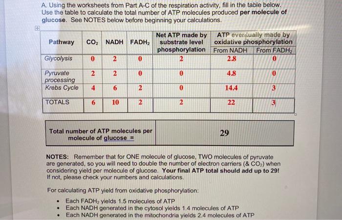 Solved Im ending up with 27 ATP molecules but it should be | Chegg.com