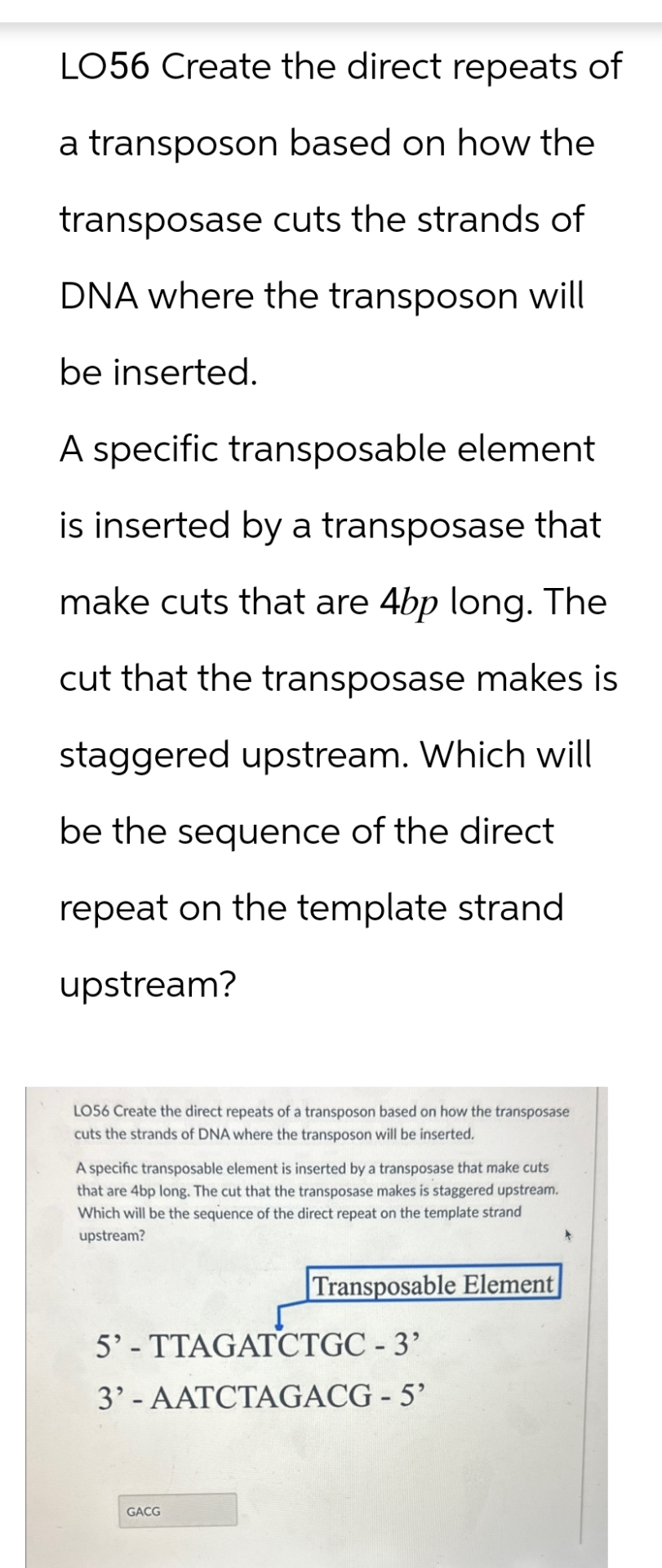 Solved LO56 ﻿Create the direct repeats ofa transposon based | Chegg.com