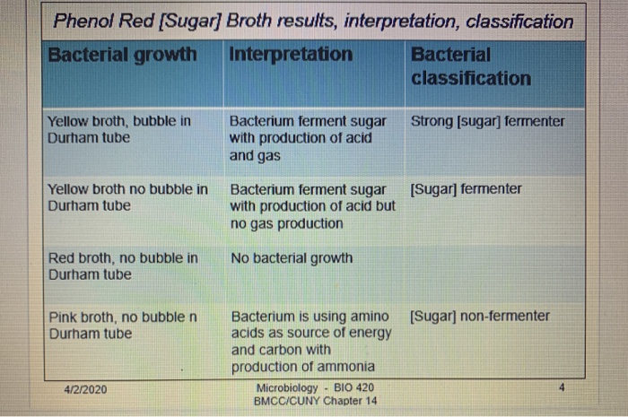 Solved INIC Results Phenol Red Lactose Broth test Record the | Chegg.com