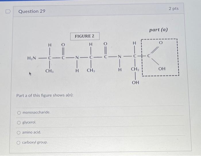 Solved How many peptide bonds are shown in FIGURE 2? part | Chegg.com