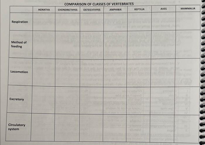 Solved COMPARISON OF CLASSES OF | Chegg.com