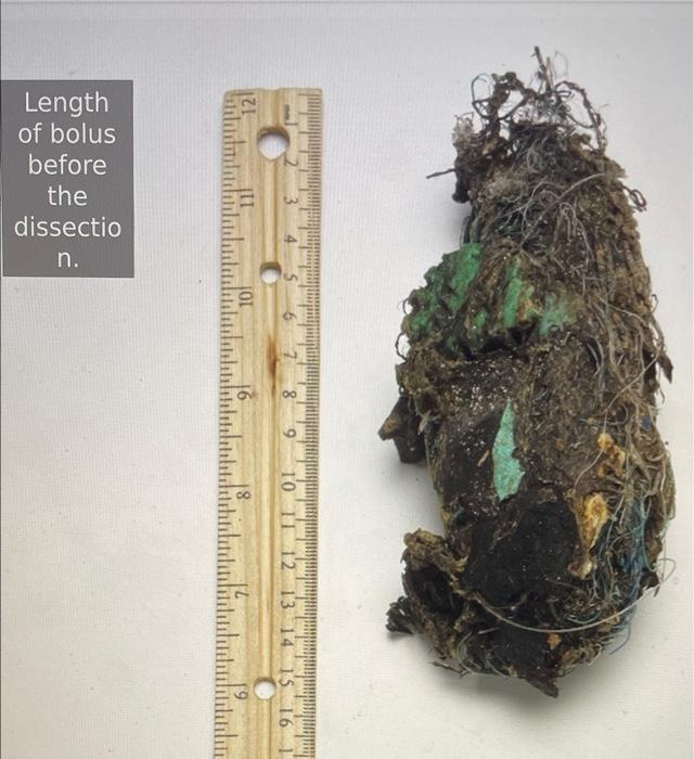 Solved View the photos to gather information regarding the | Chegg.com