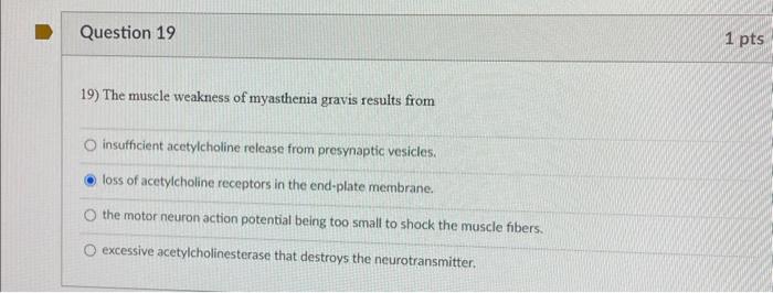 Solved 19) The muscle weakness of myasthenia gravis results | Chegg.com