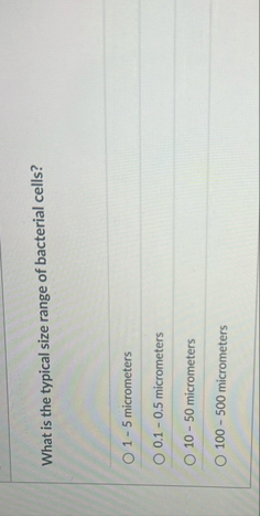 Solved What is the typical size range of bacterial cells?1-5 | Chegg.com