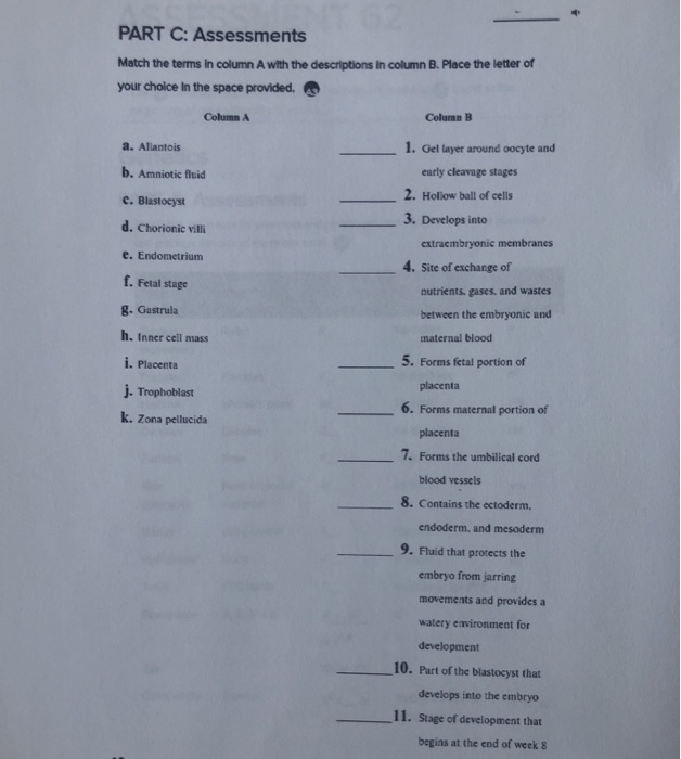 Solved PART C: Assessments Match the terms in column A with | Chegg.com