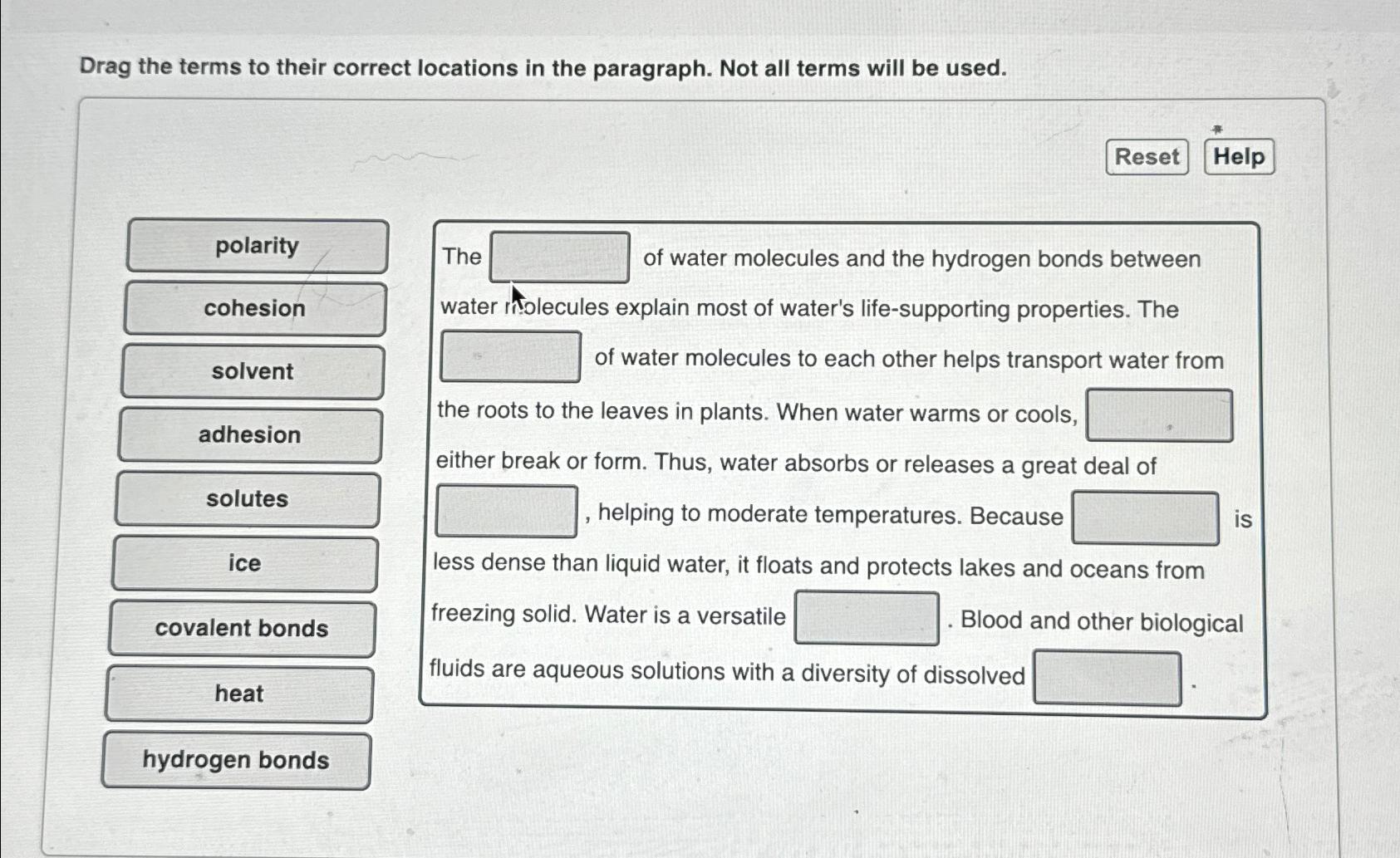 Solved Drag The Terms To Their Correct Locations In The