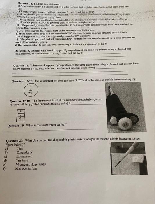 Solved Questions 4. The selectable marker gene in the | Chegg.com