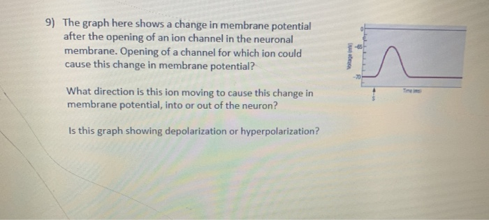 Solved 9) The graph here shows a change in membrane | Chegg.com