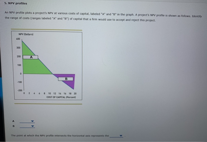 Solved 5. NPV profiles An NPV profile plots a project's NPV | Chegg.com