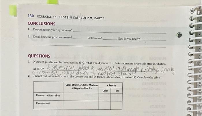 Solved 130 EXERCISE 15: PROTEIN CATABOLISM, PART 1 | Chegg.com