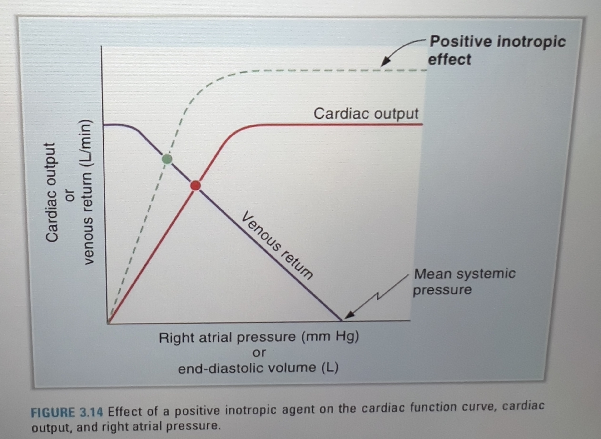 Solved FIGURE 3.14 ﻿Effect of a positive inotropic agent on | Chegg.com