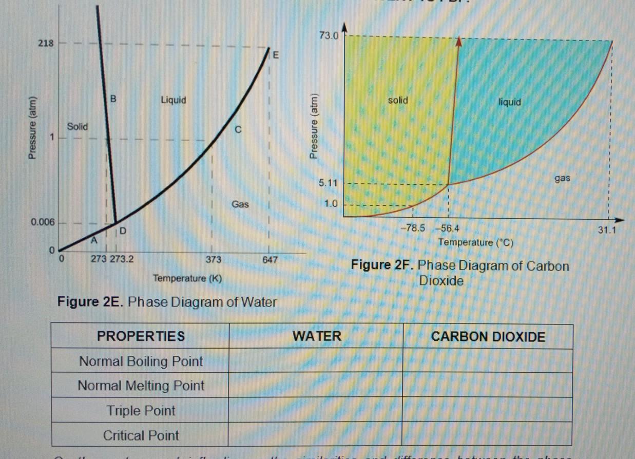 Solved Interpret the phase diagram of water and carbon | Chegg.com