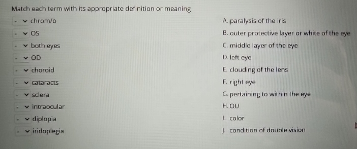 Solved Match each term with its appropriate definition or | Chegg.com