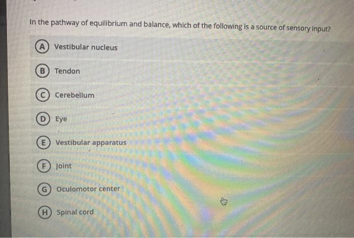 Solved In the pathway of equilibrium and balance, which of | Chegg.com