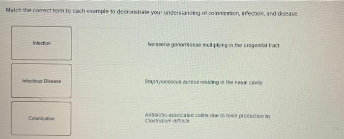 Solved Match the correct term to each example to demonstrate | Chegg.com