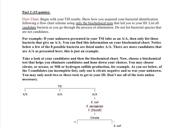 Solved Part 2 (15 points): Flow Chart. Begin with your TSI | Chegg.com