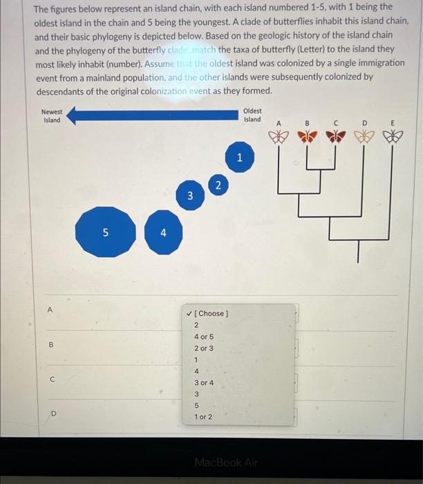 Solved The figures below represent an island chain, with | Chegg.com