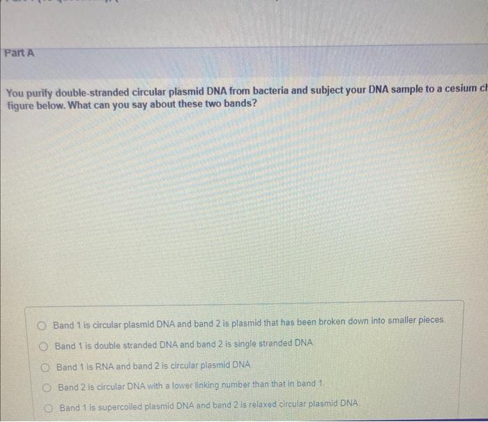 Solved aui belon. What can you say aboue these two bands?You | Chegg.com