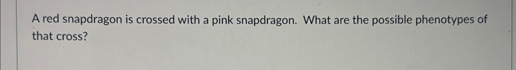 Solved A red snapdragon is crossed with a pink snapdragon. | Chegg.com