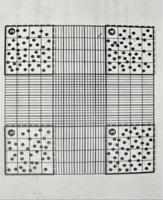 how many cells are in each quadrant? | Chegg.com
