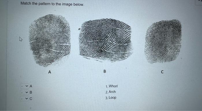 Solved Match the pattern to the image below. | Chegg.com