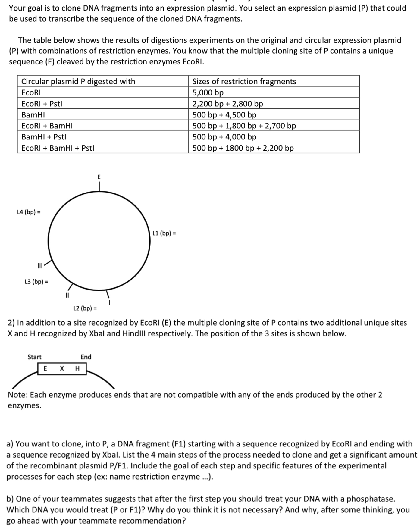 Solved Your goal is to clone DNA fragments into an | Chegg.com