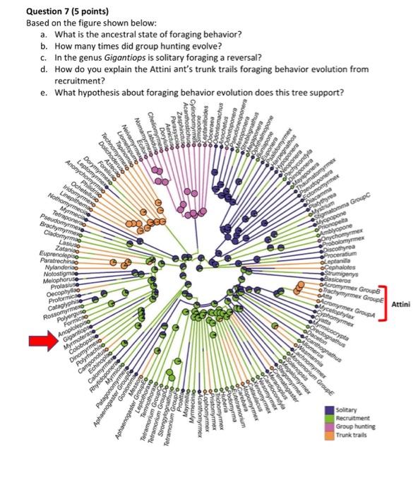 Examining the evolution of a behavioral trait in | Chegg.com