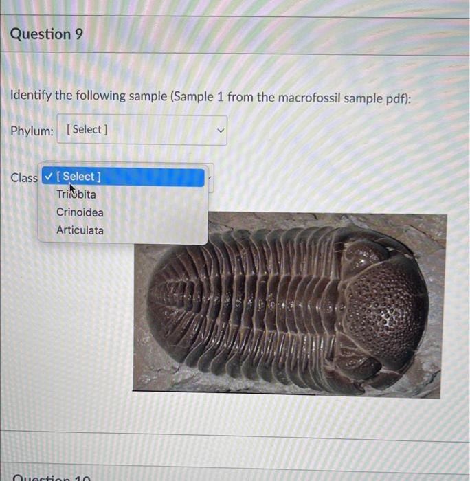 Solved Identify the following sample (Sample 1 from the | Chegg.com