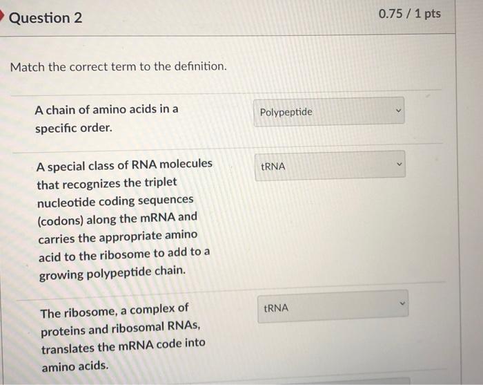 Solved Match the correct term to the definition. A chain of | Chegg.com