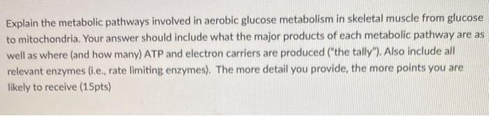 Solved Explain the metabolic pathways involved in aerobic | Chegg.com