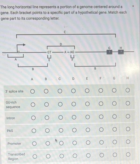 Solved The long horizontal line represents a portion of a | Chegg.com