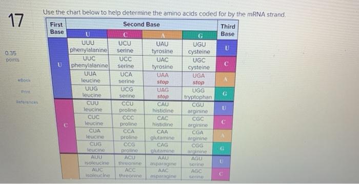 Printable Amino Acid Chart