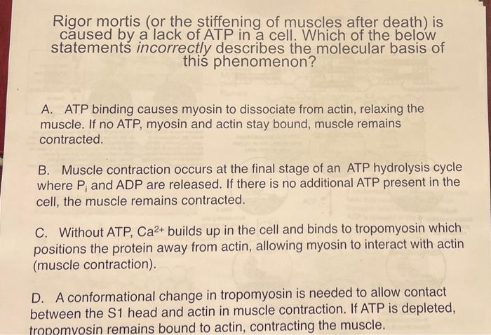 Solved Rigor mortis (or the stiffening of muscles after | Chegg.com