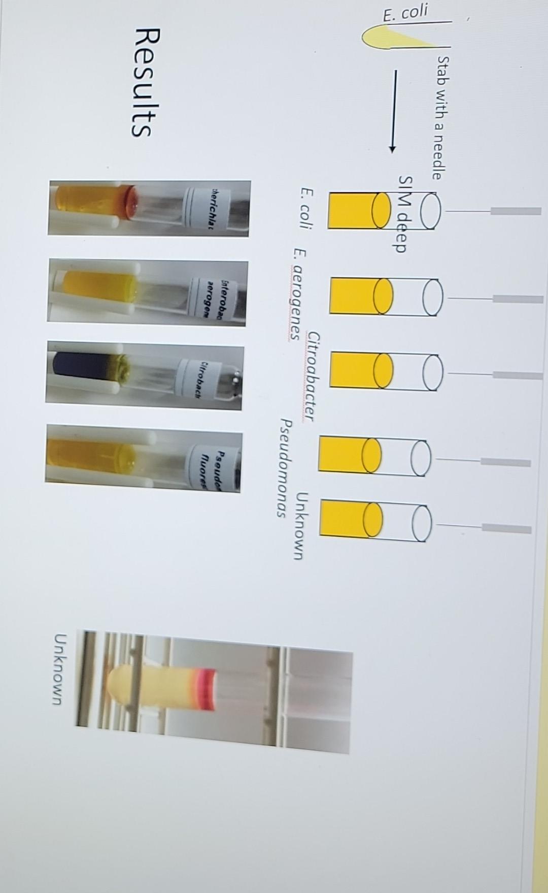 - Media is designed to be used for more than one | Chegg.com