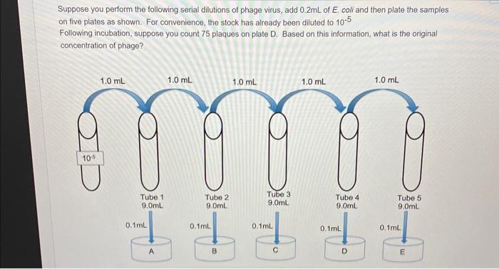 Solved Suppose you perform the following serial dilutions of | Chegg.com