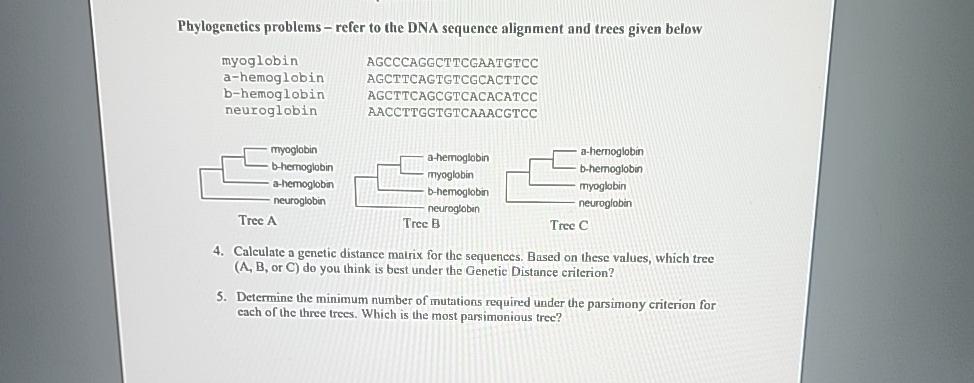 Solved Phylogenetics Problems refer To The Dna Sequence 5446