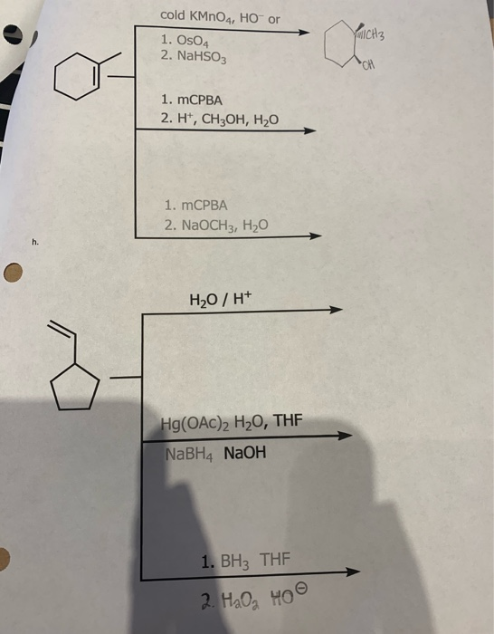 Solved NaBH4 CC Hg(OAC)2 H20, THE NaOH 1. Hg(O2CCF3)2, 'ProH | Chegg.com