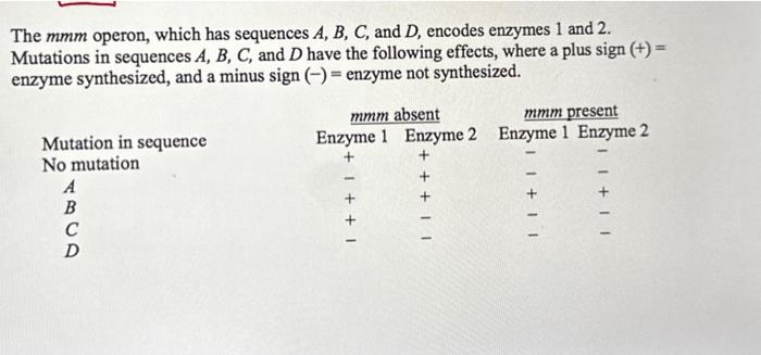 The mmm operon, which has sequences A,B,C, and D, | Chegg.com