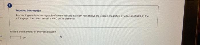 Solved 2 Required information A scanning electron micrograph | Chegg.com