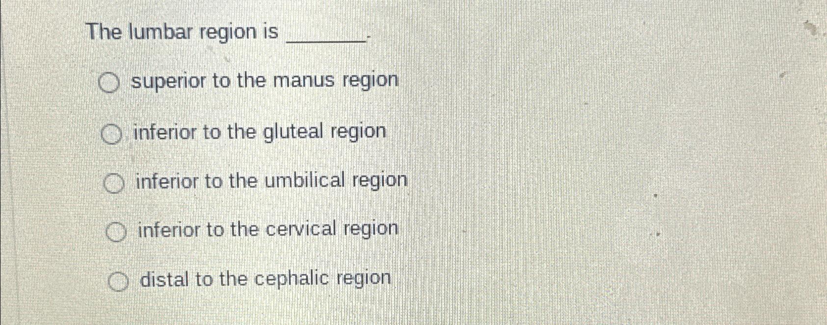 Solved The lumbar region issuperior to the manus | Chegg.com