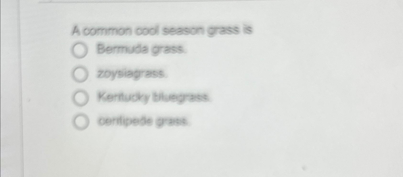 Solved A common cod season grass is ﻿Bermuda | Chegg.com