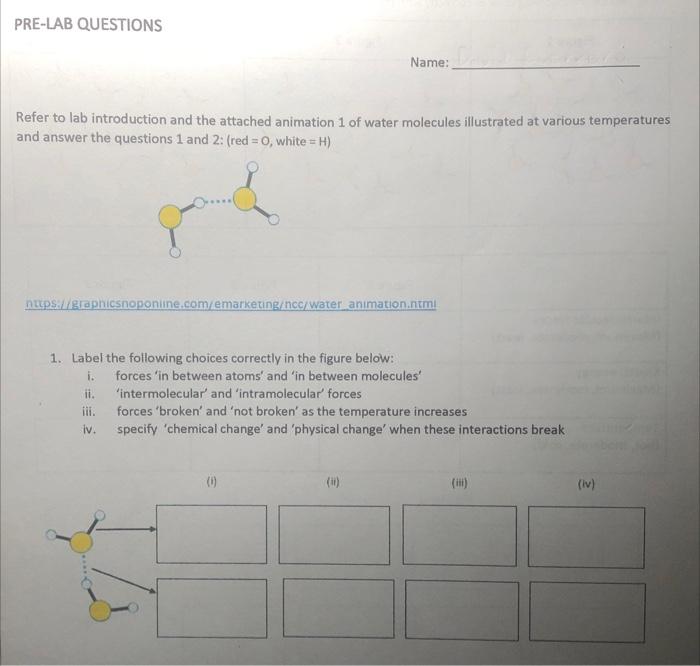 Solved Refer to lab introduction and the attached animation | Chegg.com