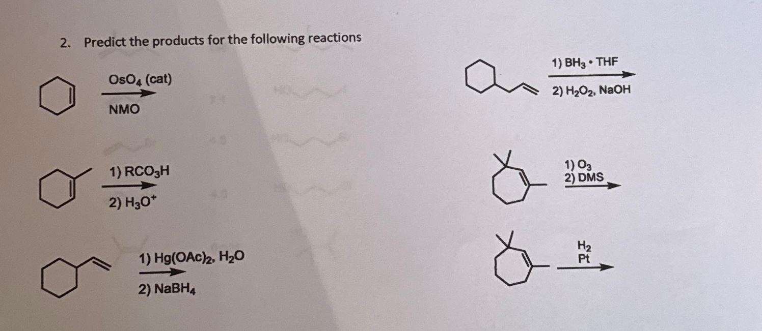 Solved How to solve PLS SHOW ALL WORK WRITTEN OUT Predict | Chegg.com