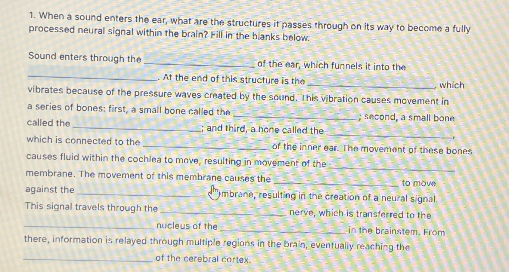 Solved When a sound enters the ear, what are the structures | Chegg.com