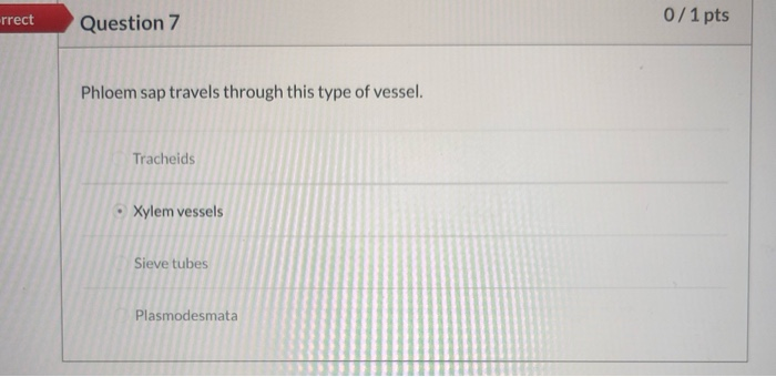 Solved 0/1 pts rrect Question 1 Which is NOT an example of | Chegg.com