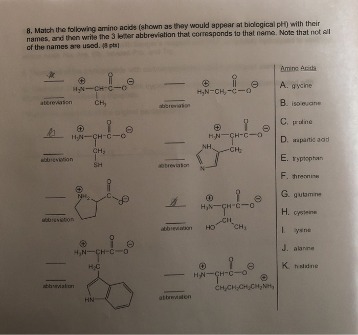 Solved 8. Match the following amino acids (shown as they | Chegg.com