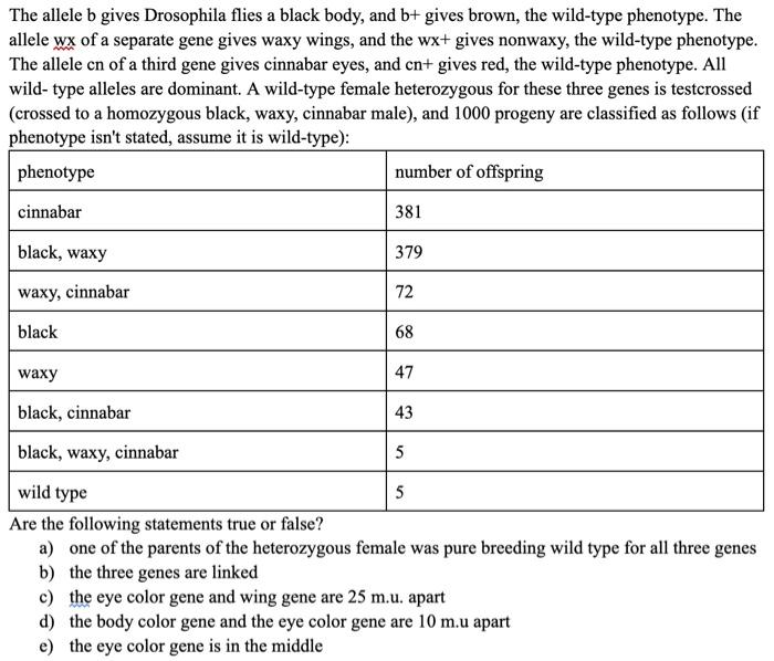 Solved The allele b gives Drosophila flies a black body, and | Chegg.com