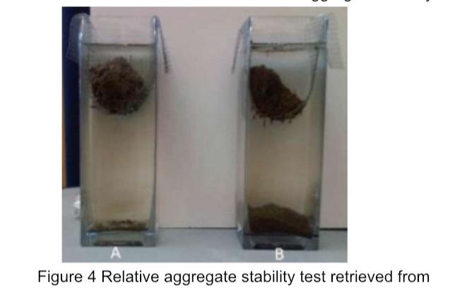 Solved Figure 4 Relative aggregate stability test retrieved | Chegg.com