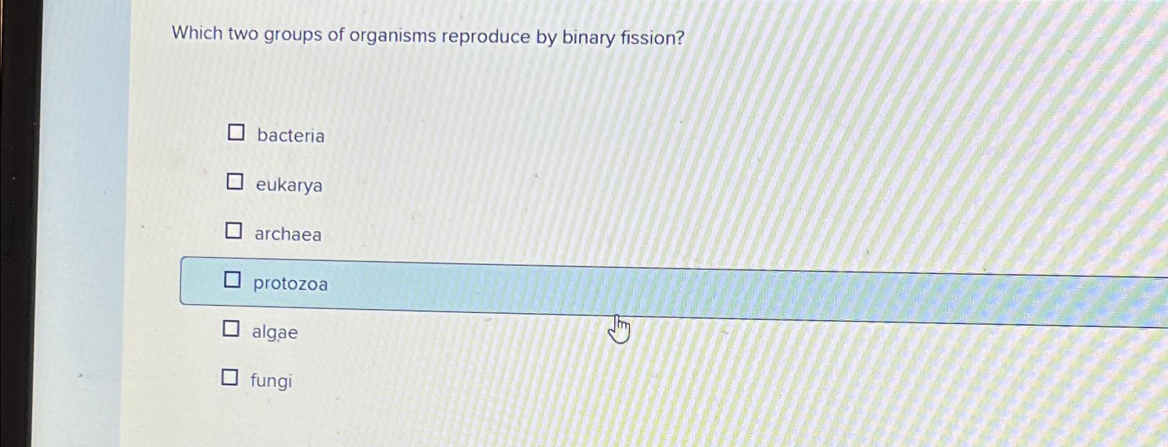 Solved Which two groups of organisms reproduce by binary | Chegg.com