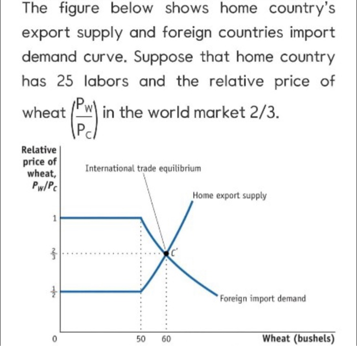 Solved The figure below shows home country's export supply | Chegg.com